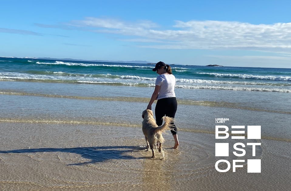 Perth's Best Dog Beaches To Cool Off At This Summer | URBAN LIST PERTH