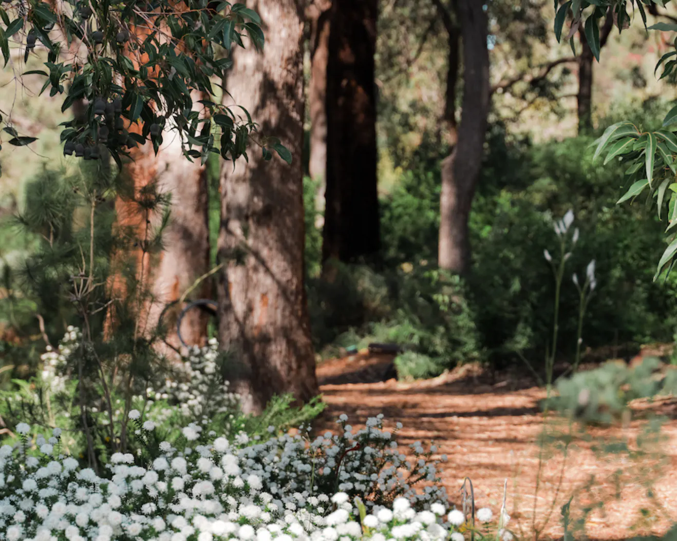 15 Of The Best Hikes Near Perth To Tackle In 2026 | URBAN LIST PERTH