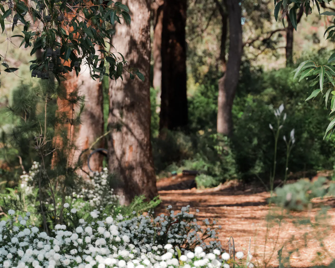 15 Of The Best Hikes Near Perth To Tackle In 2026 | URBAN LIST PERTH