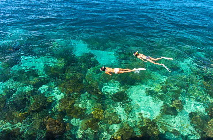 The Sunshine Coast's Best Snorkelling Spots To Dive Into | URBAN LIST ...