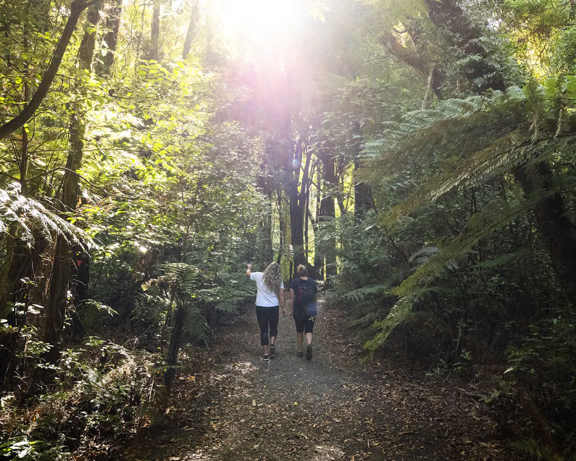 The Best Things To Do In Hamilton | URBAN LIST NEW ZEALAND
