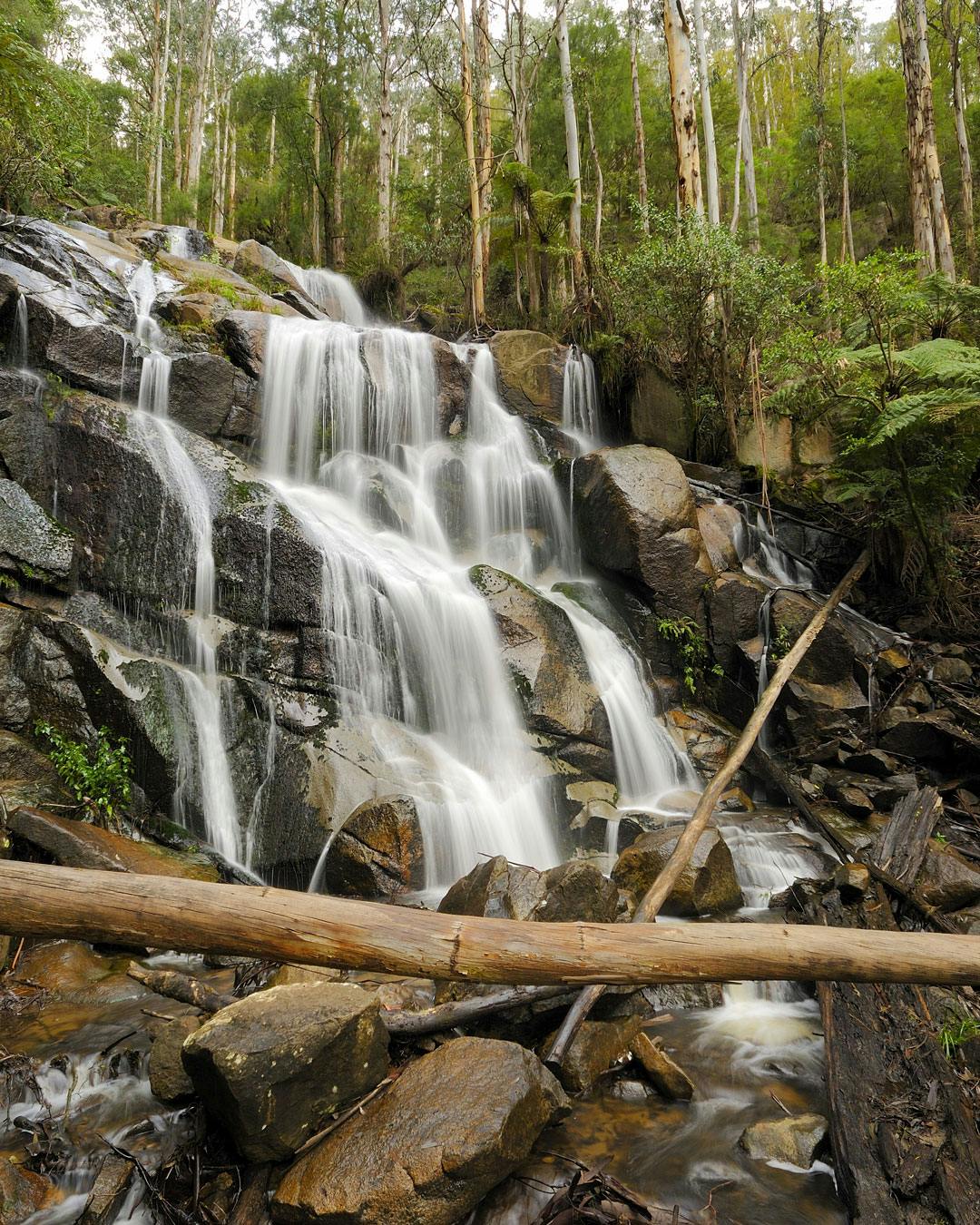 Best Waterfalls To See In Victoria | 2020 | URBAN LIST MELBOURNE