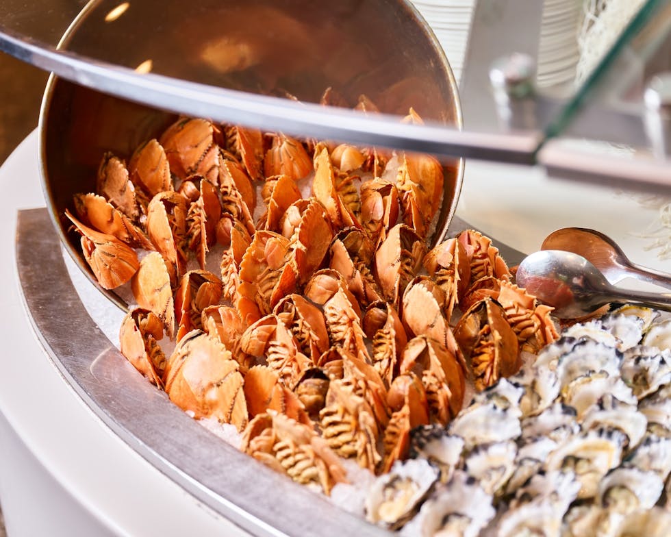 10 Of The Best All-You-Can-Eat Buffets In Sydney | URBAN LIST SYDNEY