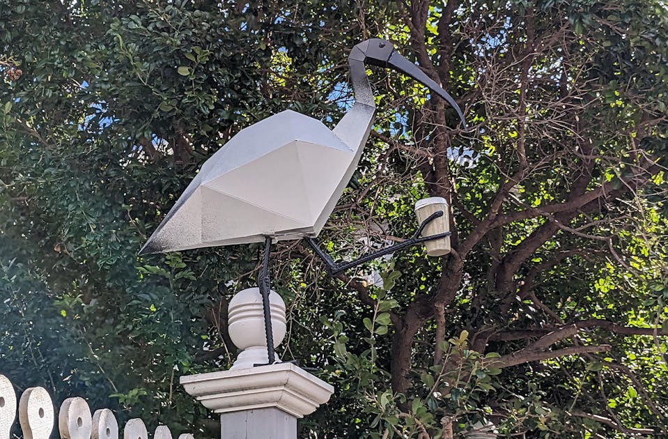 This Bin Chicken Trail By A Local Artist Is Brisbane’s Newest Tourist ...