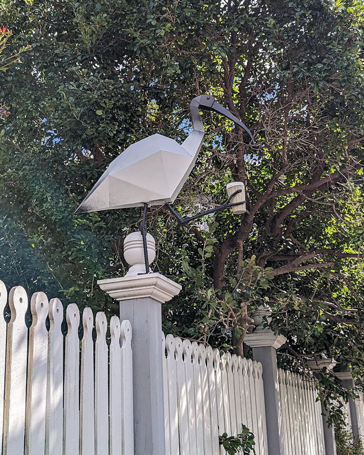 This Bin Chicken Trail By A Local Artist Is Brisbane’s Newest Tourist ...