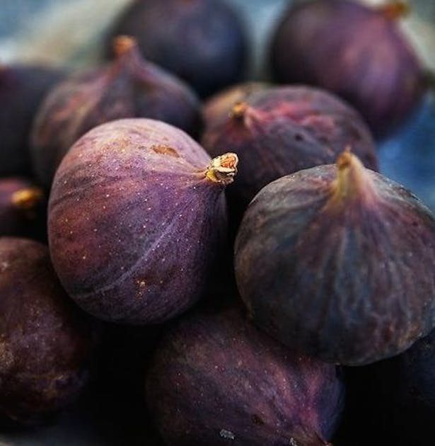 Ramsgate Organic Foodies Market | Urban List | URBAN LIST SYDNEY