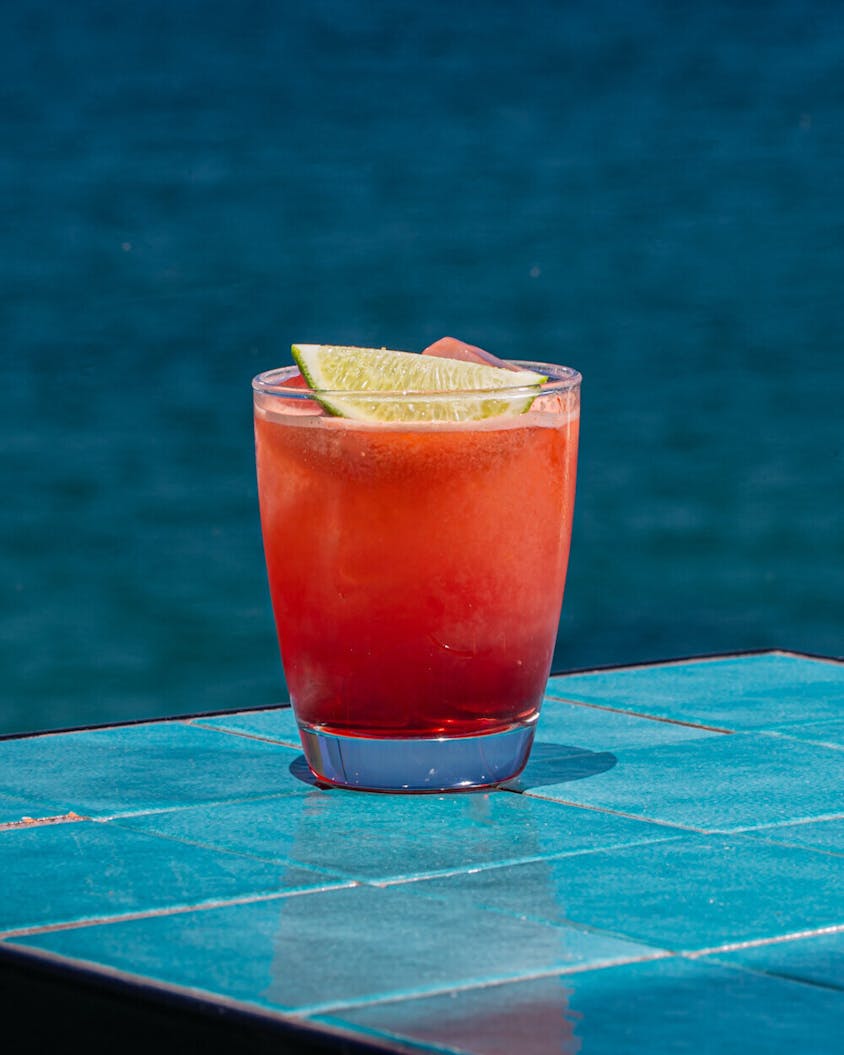 The Best Bondi Bars For All Occasions | URBAN LIST SYDNEY