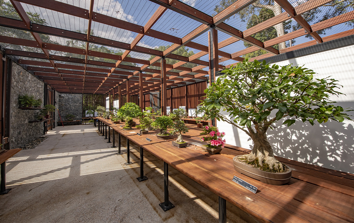 8 Of The Most Insta-Worthy Gardens In Brisbane To Explore | URBAN LIST ...