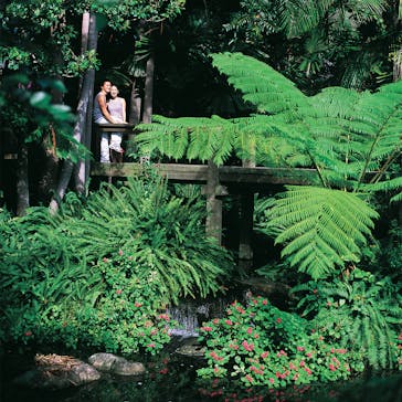 8 Of The Most Insta-Worthy Gardens In Brisbane To Explore | URBAN LIST ...