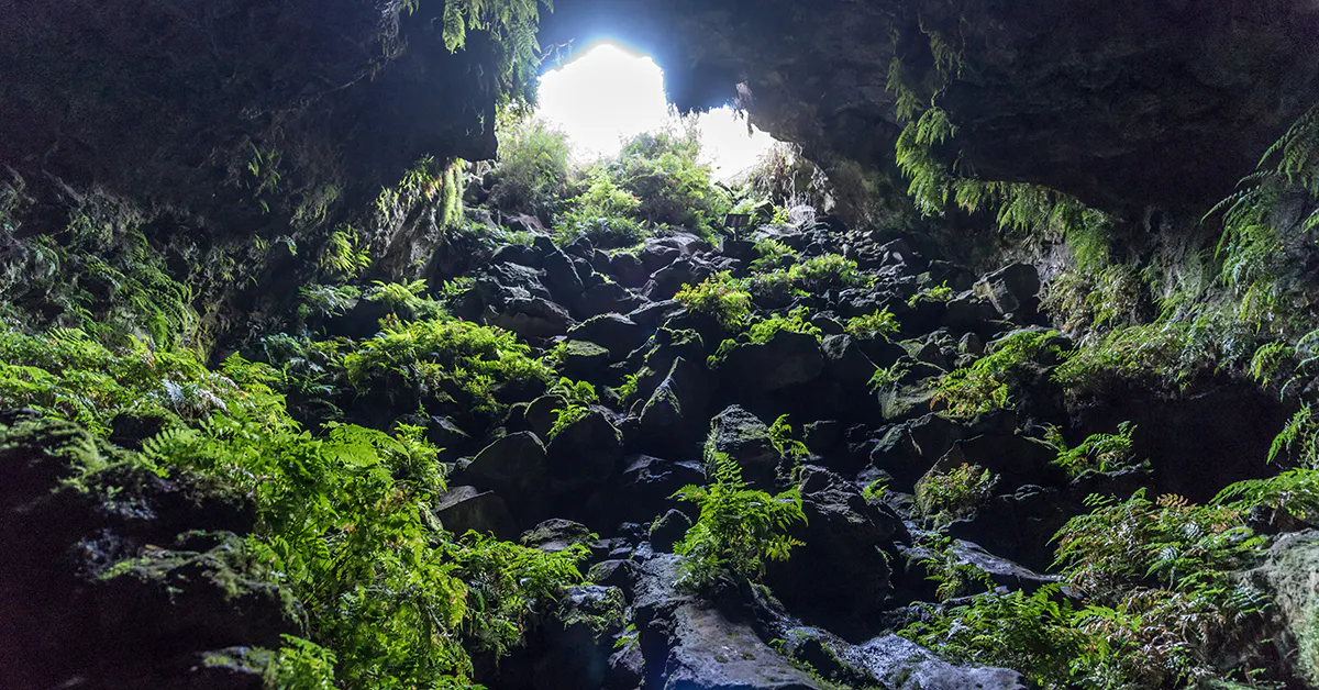 The Best Caves To Explore In Victoria | URBAN LIST MELBOURNE