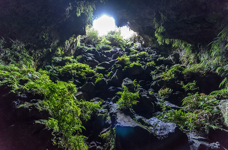 The Best Caves To Explore In Victoria | URBAN LIST MELBOURNE