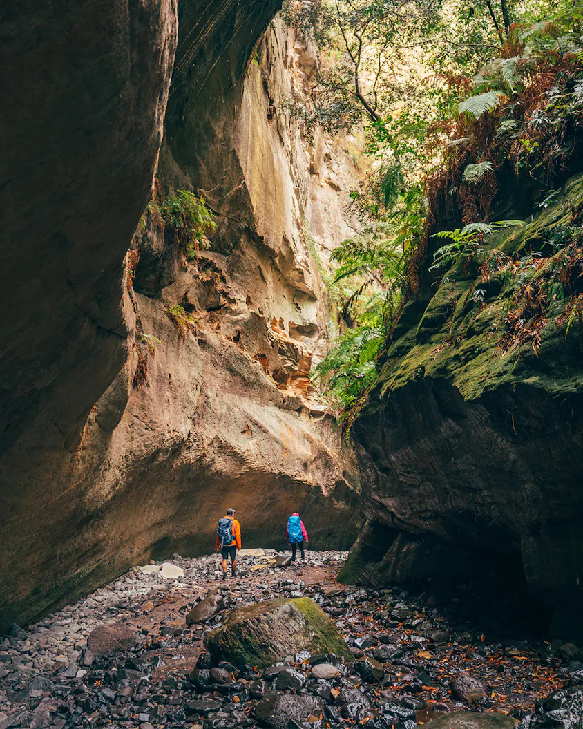 13 Of The Best National Parks In Queensland To Put On Your Bucket List ...