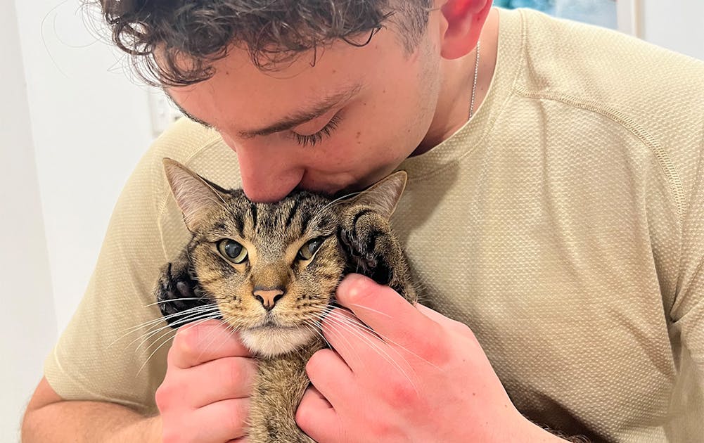 Where To Find The Best Cat Cafes In Brisbane | URBAN LIST BRISBANE