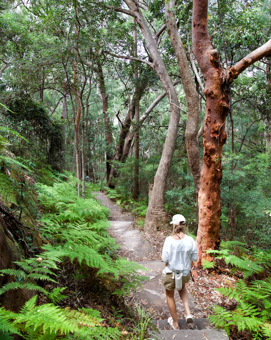 The Best Coastal Walks In Sydney For Beach And Harbour Views | URBAN ...