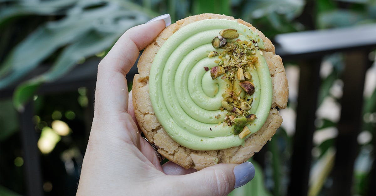 DRZLE | Newstead | URBAN LIST BRISBANE