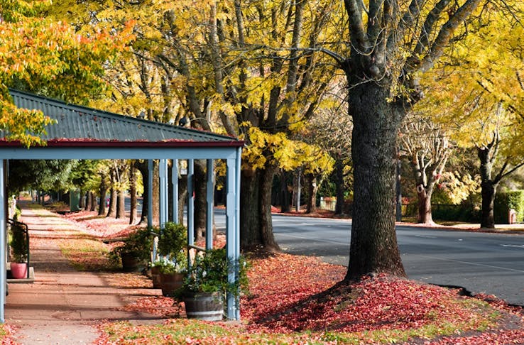 The Best Things To Do In Daylesford | Urban List Melbourne
