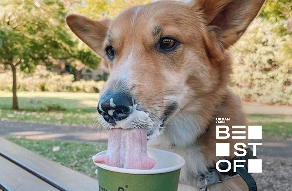 Our Favourite Dog-Friendly Cafes In Perth | URBAN LIST PERTH