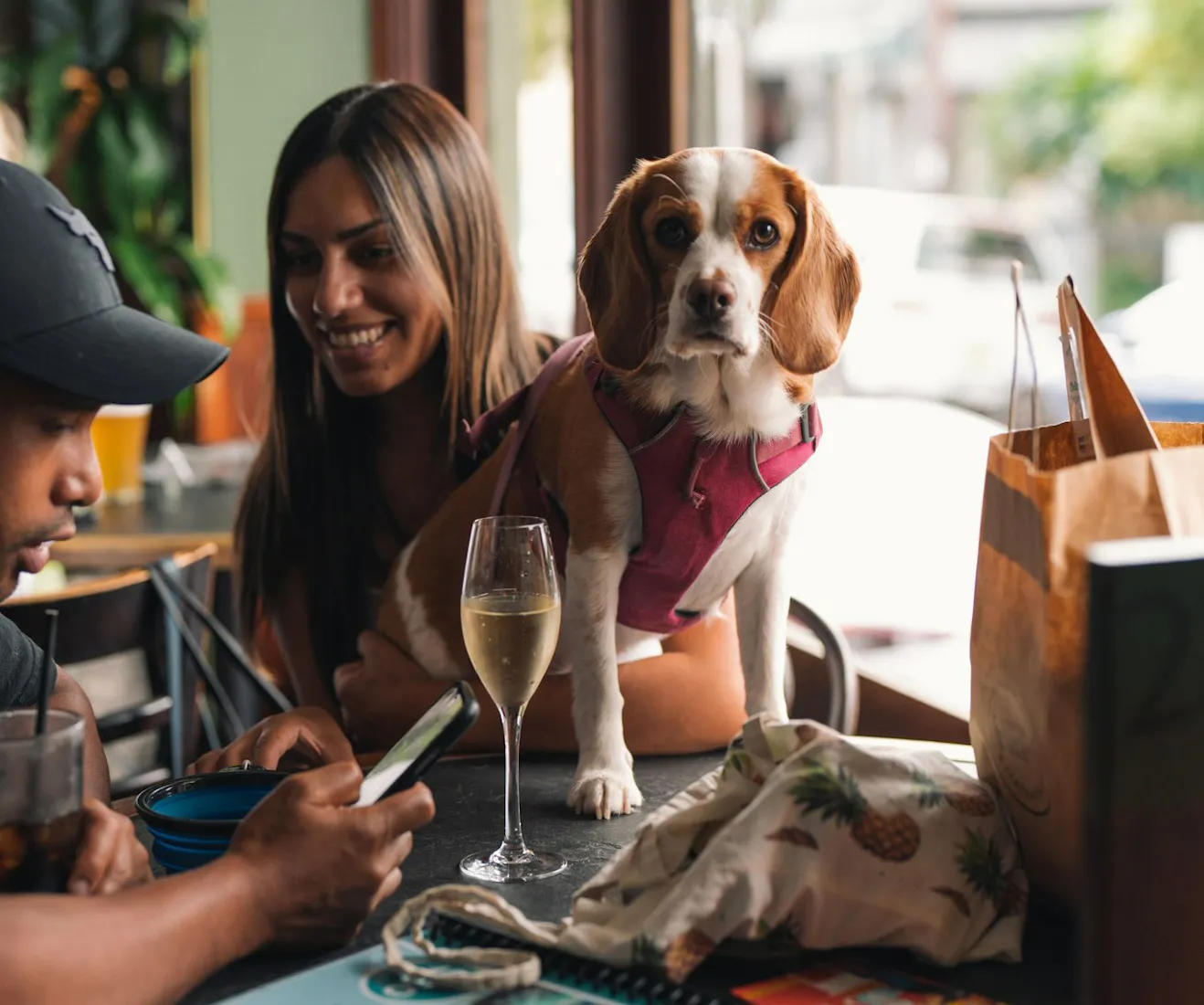 The Best Dog Friendly Pubs In Sydney | URBAN LIST SYDNEY