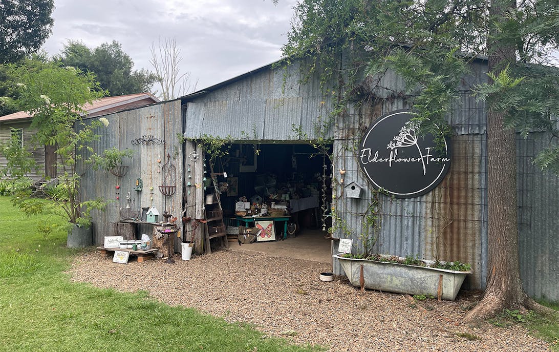 14 Of The Best Things To Do In The Scenic Rim | URBAN LIST BRISBANE