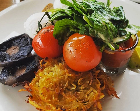 Fact-Tree Cafe, Sunnynook | URBAN LIST AUCKLAND