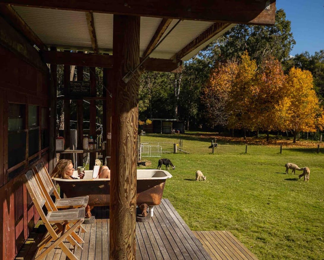 15 Of The Best Farm Stays In NSW To Book For A Country Escape | URBAN ...