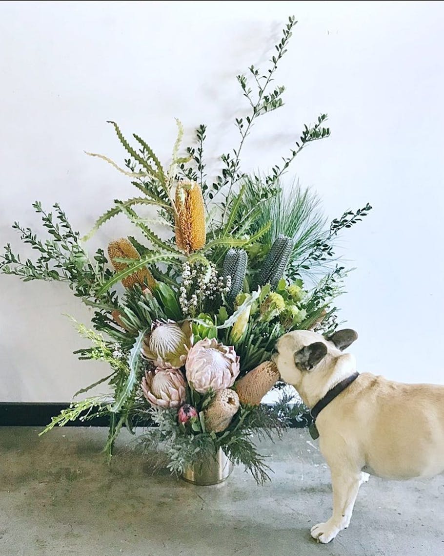 23 Perth Flower Delivery Services To Try In 2024 | URBAN LIST PERTH