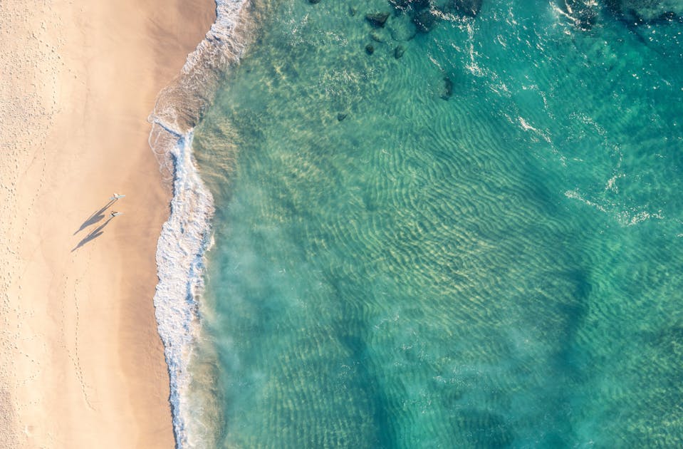 Good News Stories To Break Up Your Feed This Week | URBAN LIST SYDNEY