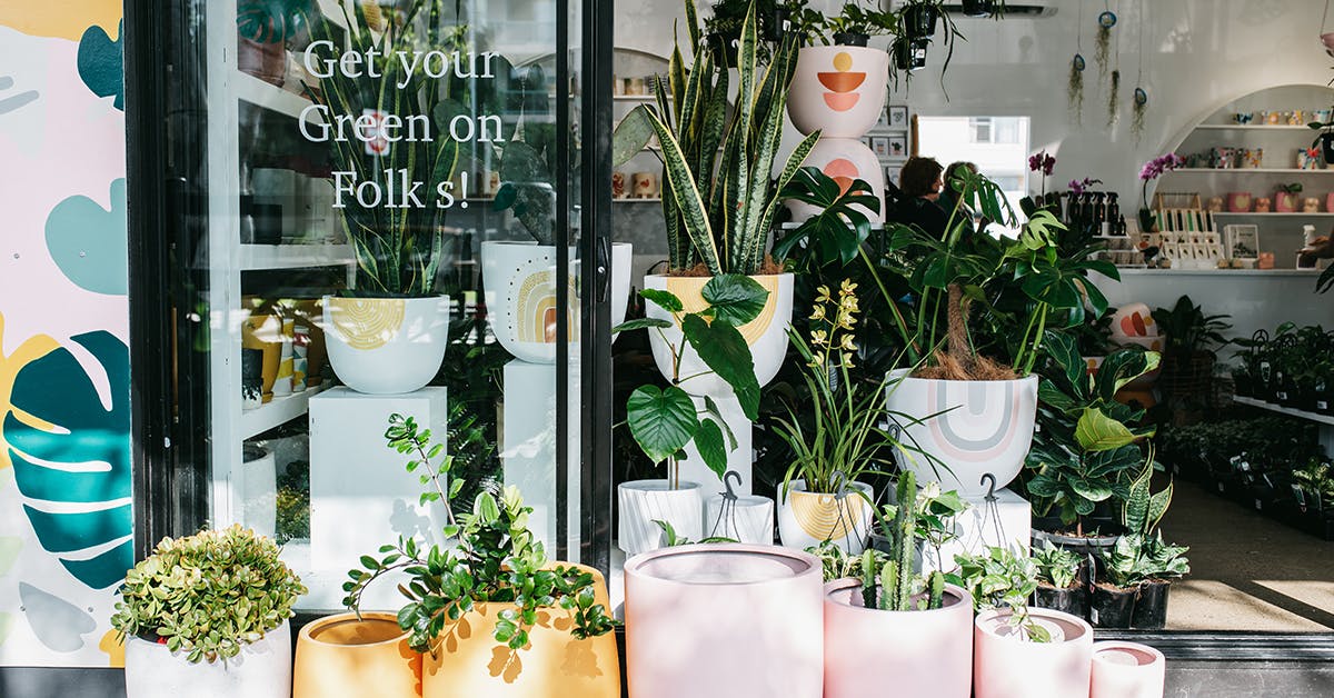 GreenFolk Botany Shop | Burleigh Heads | URBAN LIST GOLD COAST
