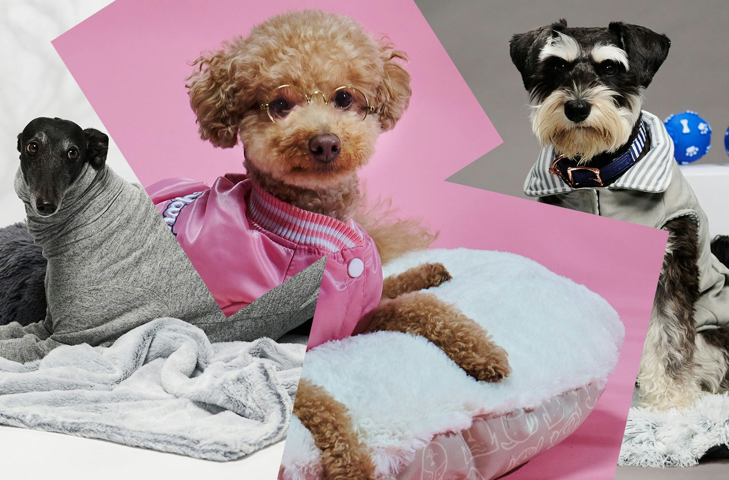 Pet Homewares: Everything You Need To Create A Pet Paradise At Home ...