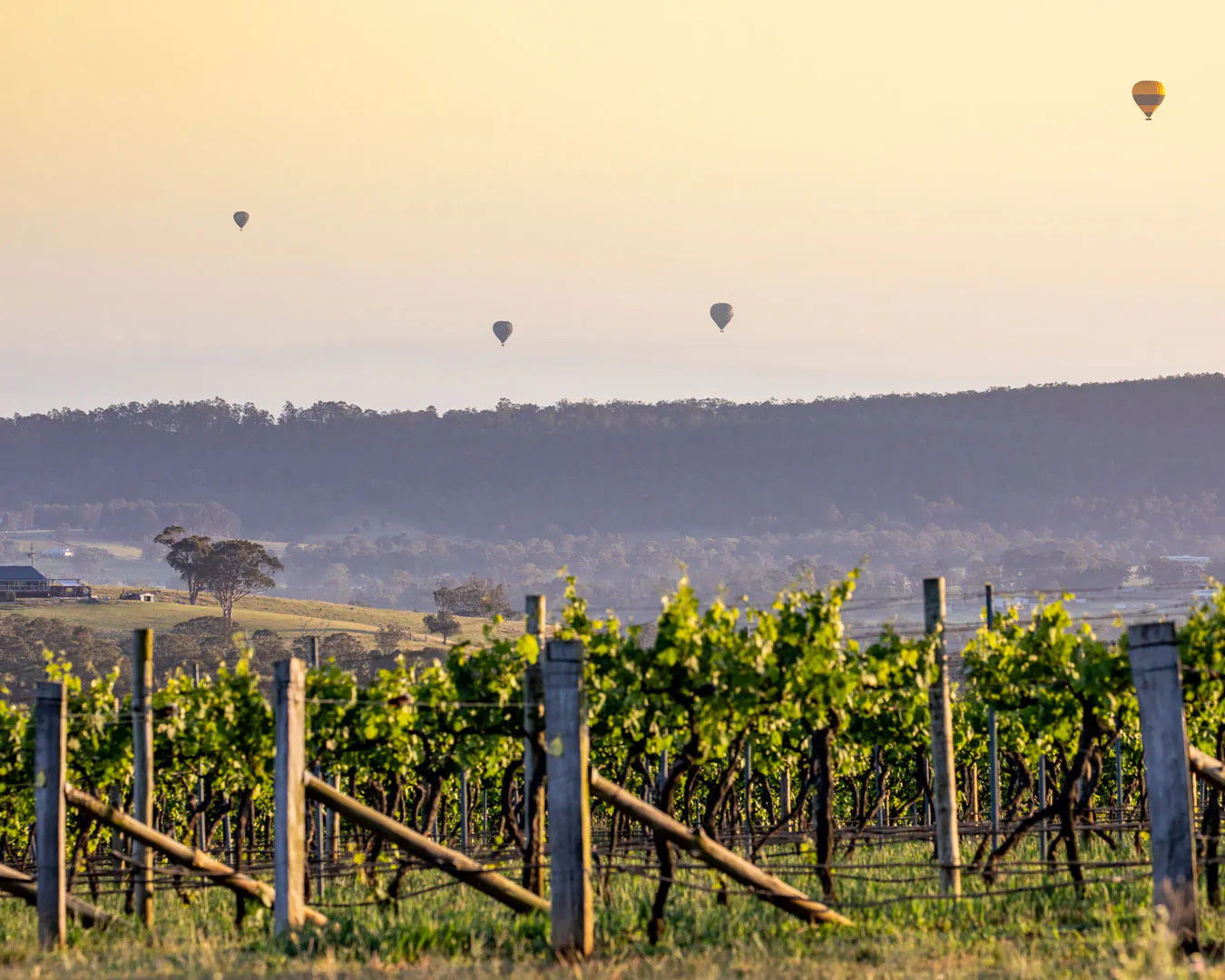 Your Guide To The Hunter Valley's Best Hidden Gems | URBAN LIST SYDNEY