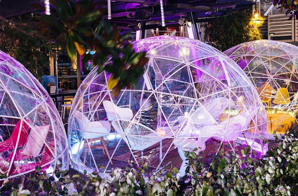 Fill Up On Espresso Martinis And Birria Tacos In These Magical Winter ...