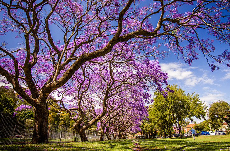 Gold Coast’s Best Outdoor Activities For Spring | URBAN LIST GOLD COAST