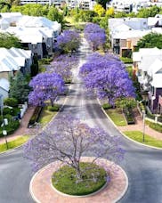 6 Of Perth’s Most Beautiful Jacaranda Walks | URBAN LIST PERTH