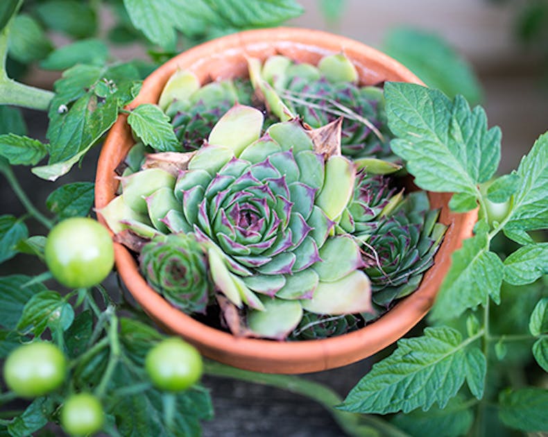 Kin & Kind | URBAN LIST SYDNEY