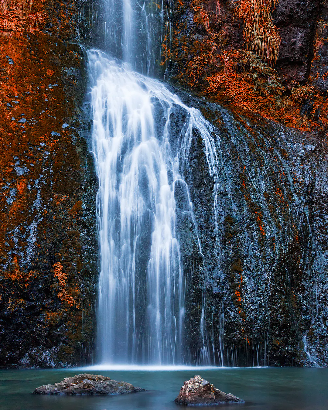 Waterfalls Near Auckland You Can Actually Visit | URBAN LIST NEW ZEALAND