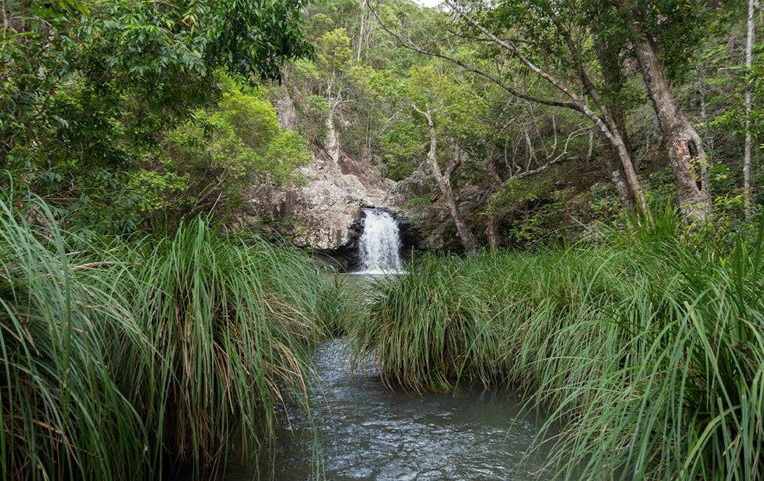 8 Beautiful Queensland Waterfalls To Hunt Down | URBAN LIST BRISBANE