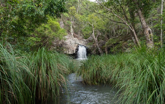 8 Beautiful Queensland Waterfalls To Hunt Down | URBAN LIST BRISBANE