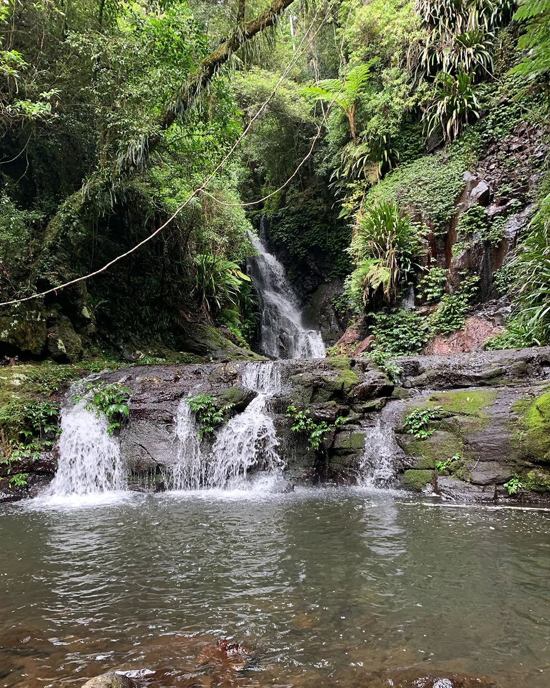 13 Of The Best National Parks In Queensland To Put On Your Bucket List ...