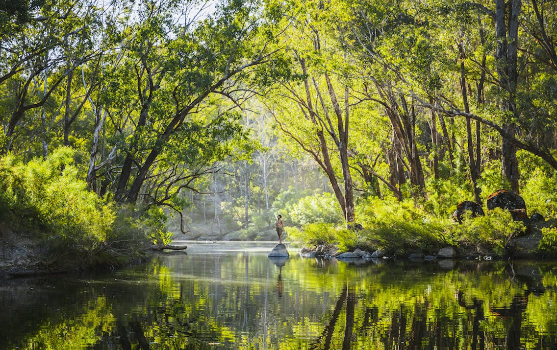 The Best Things To Do In Dwellingup | URBAN LIST PERTH