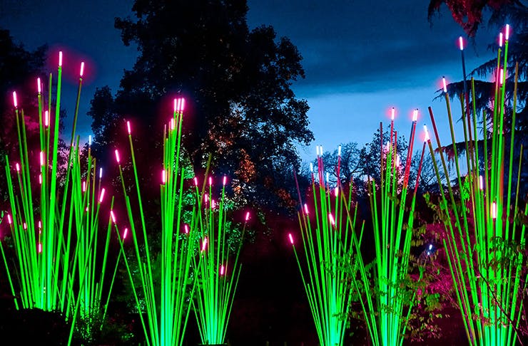 Lightscape Is Coming To Brisbane This Year | URBAN LIST BRISBANE