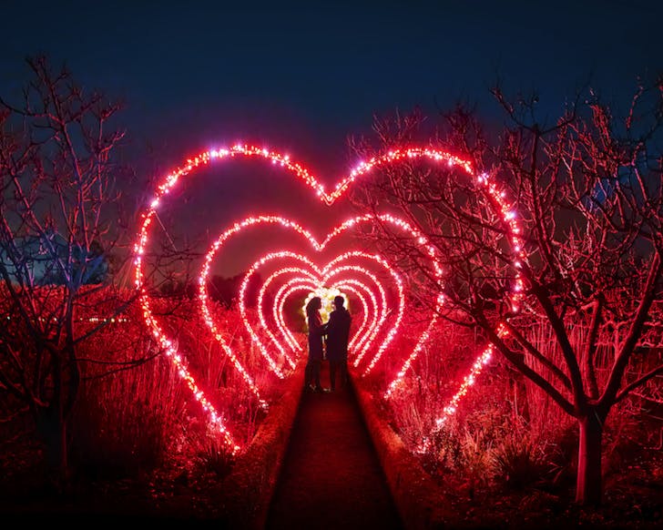 Lightscape 2024 Is Here, With A New Tiny Cabin Experience In Kings Park ...