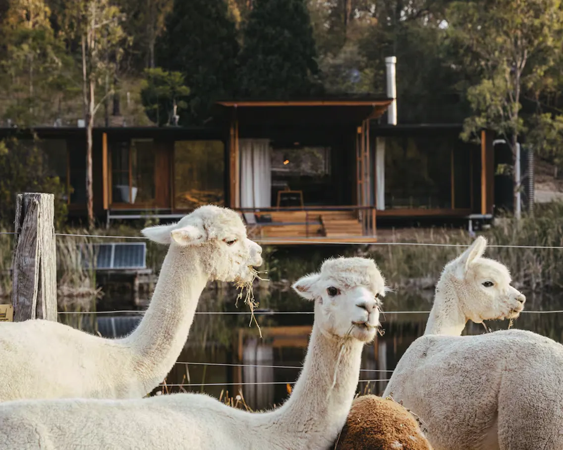 18 Of The Best Farm Stays In NSW To Book For A Country Escape | URBAN ...