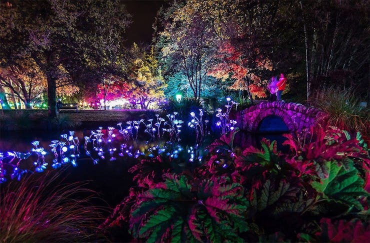 LUMA Southern Light Project 2021 | Urban List