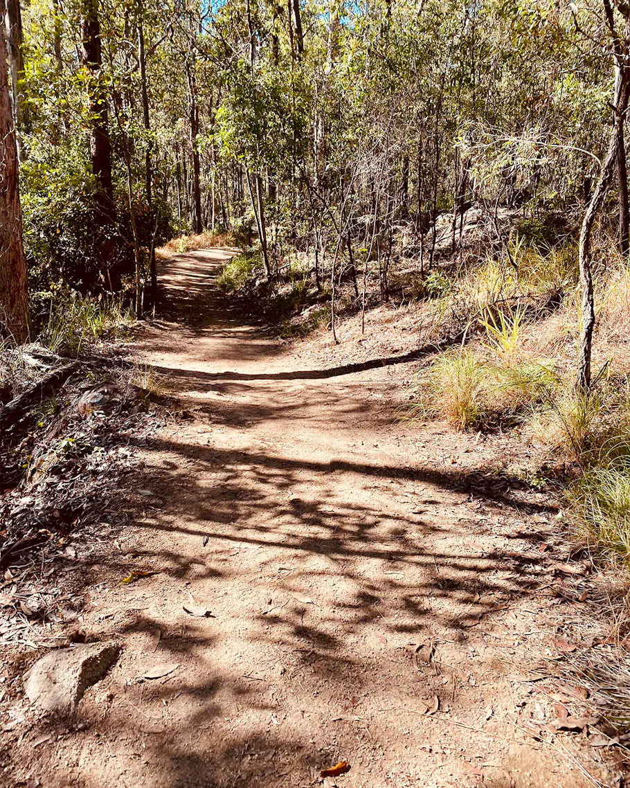 12 Of The Best Places For Walks In Brisbane | URBAN LIST BRISBANE