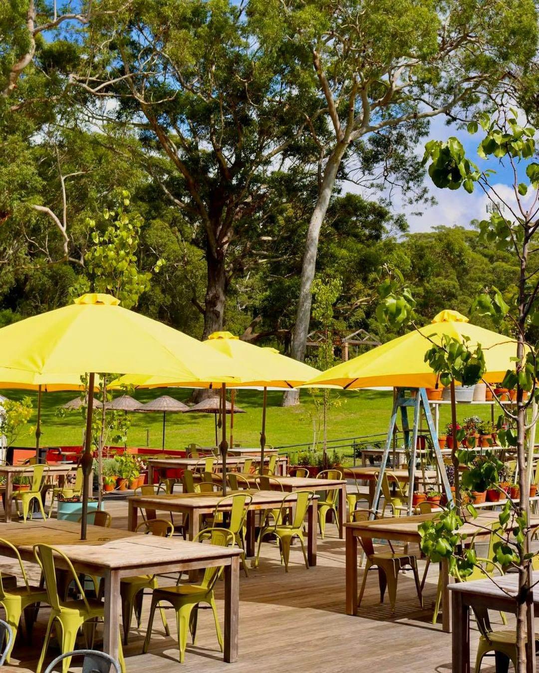 Port Stephens' Best Restaurants, Stays And Things To Do | URBAN LIST SYDNEY