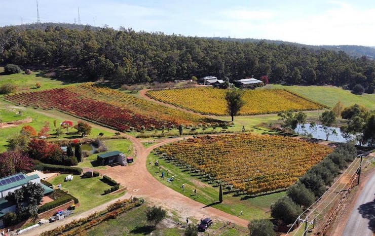 The Best Wineries And Cideries In The Perth Hills | URBAN LIST PERTH