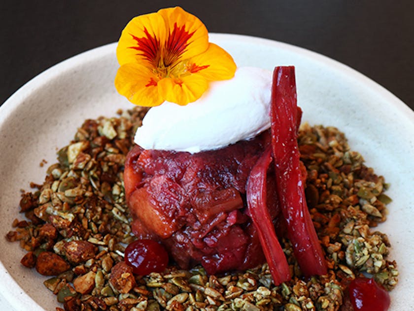 Newbie | URBAN LIST AUCKLAND