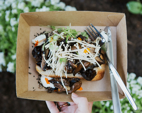 One Block Back | Moffat Beach | URBAN LIST SUNSHINE COAST