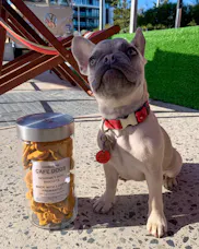 The Best Dog-Friendly Cafes In Perth | URBAN LIST PERTH