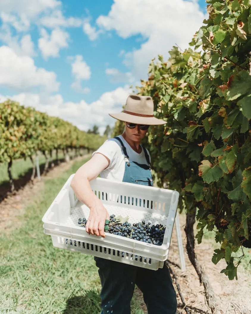 Here’s Why Orange FOOD Week Is Worth A Weekend Trip In 2025 | URBAN ...